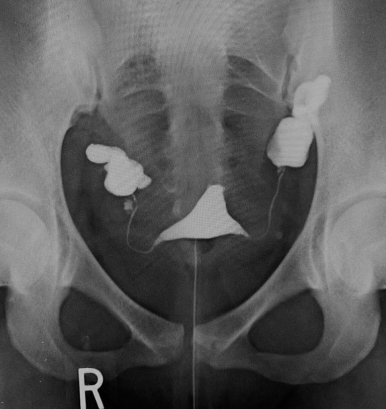 St. Jago Ultrasound | Services